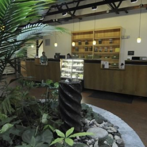 Greenleaf Compassionate Care Center Portsmouth Dispensary - Dispensary ...