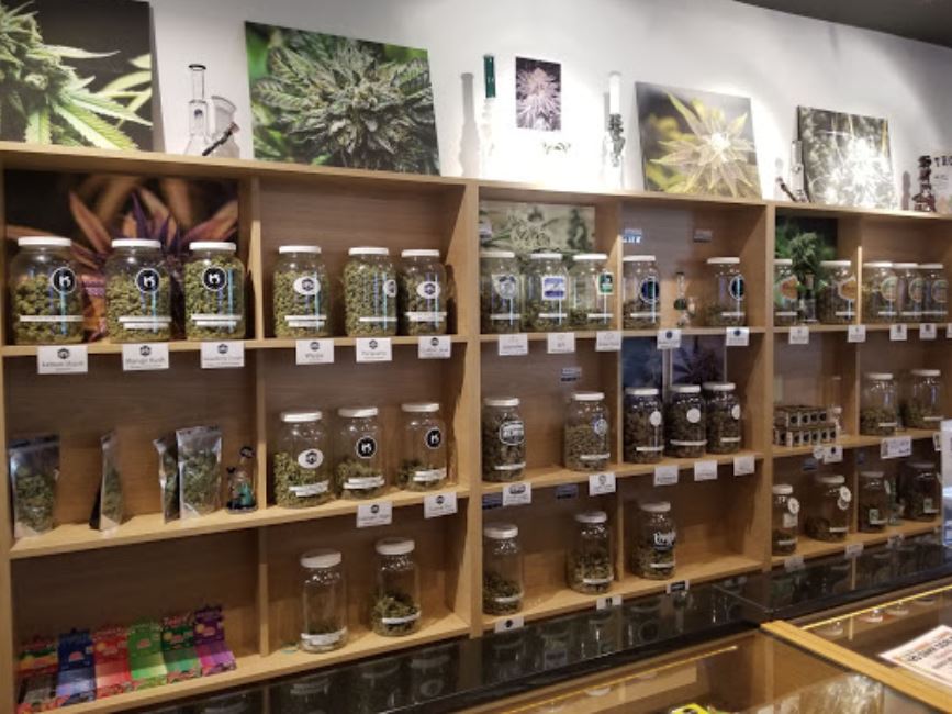 Curaleaf s Roseway Northeast Dispensary Dispensary Genie Curaleaf s Roseway Northeast Dispensary Dispensary Genie