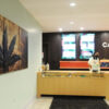 Cannapi’s Brockton Dispensary - Brockton's Cannapi Dispensary