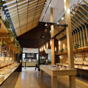 Cannapi’s Brockton Dispensary - Brockton's Cannapi Dispensary