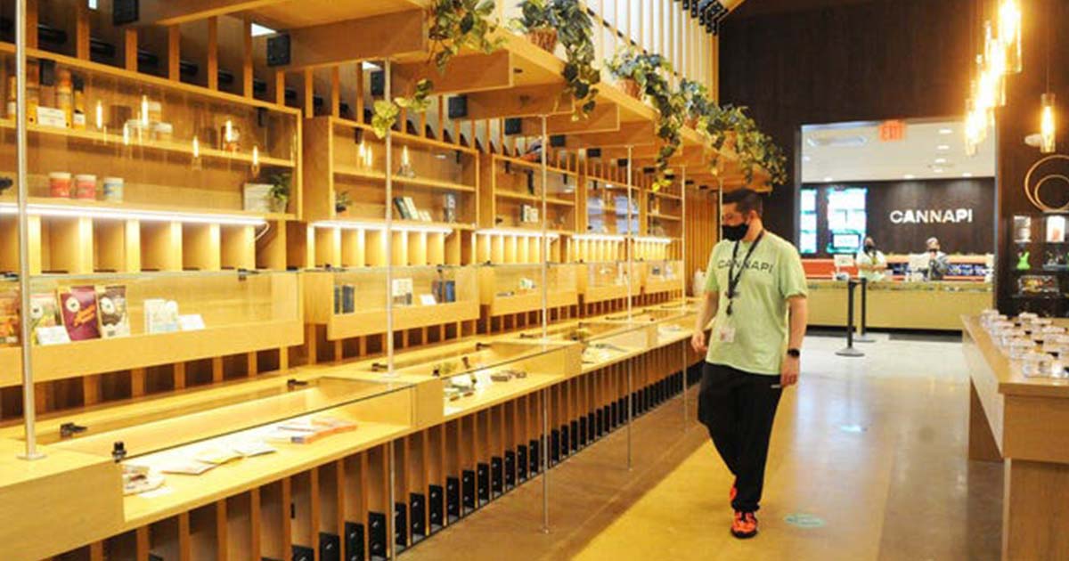 Cannapi’s Brockton Dispensary - Brockton's Cannapi Dispensary