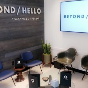 BEYOND / HELLO's Bristol Dispensary - Bristol's BEYOND / HELLO's Dispensary